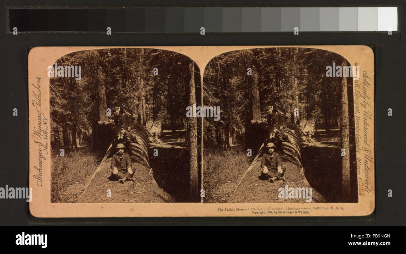 1633 The Fallen Monarch (24 feet in diameter), Mariposa Grove ...