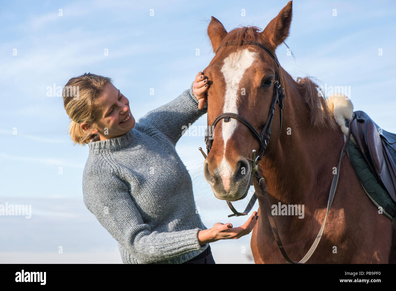 Taking care horse hi-res stock photography and images - Alamy
