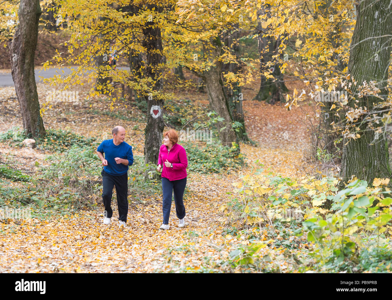 Senior family couple jogging hi-res stock photography and images - Alamy