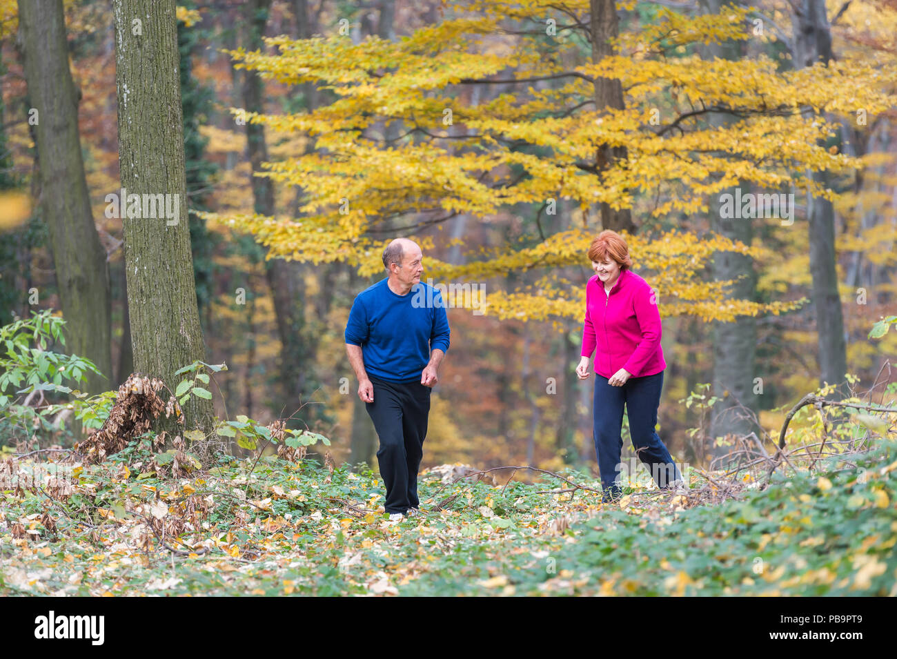 Senior Couple doing sport outdoors Stock Photo - Alamy Senior Couple doing sport outdoors Stock Photo - Alamy