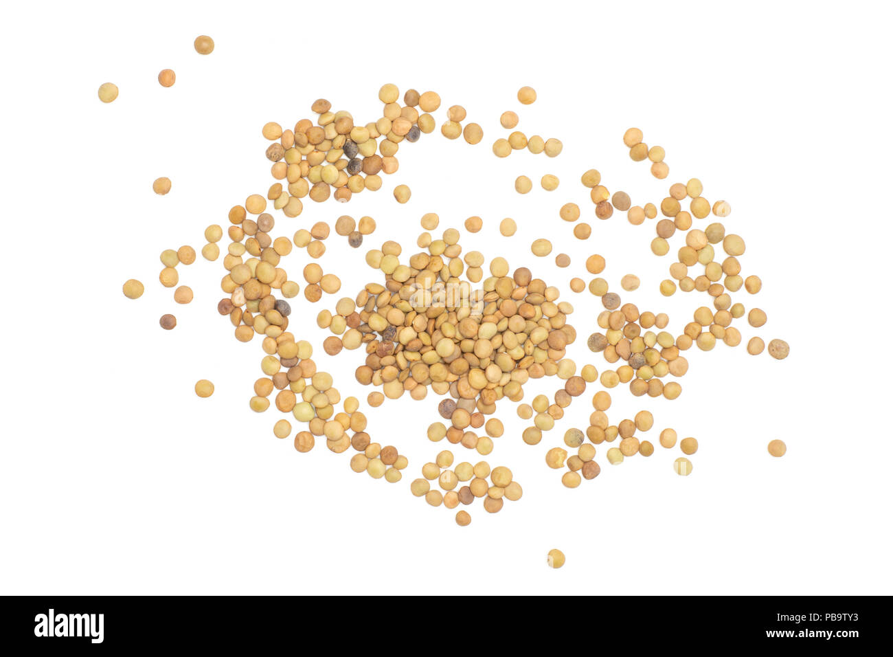 Whole lentil lens culinaris seeds hi-res stock photography and images ...
