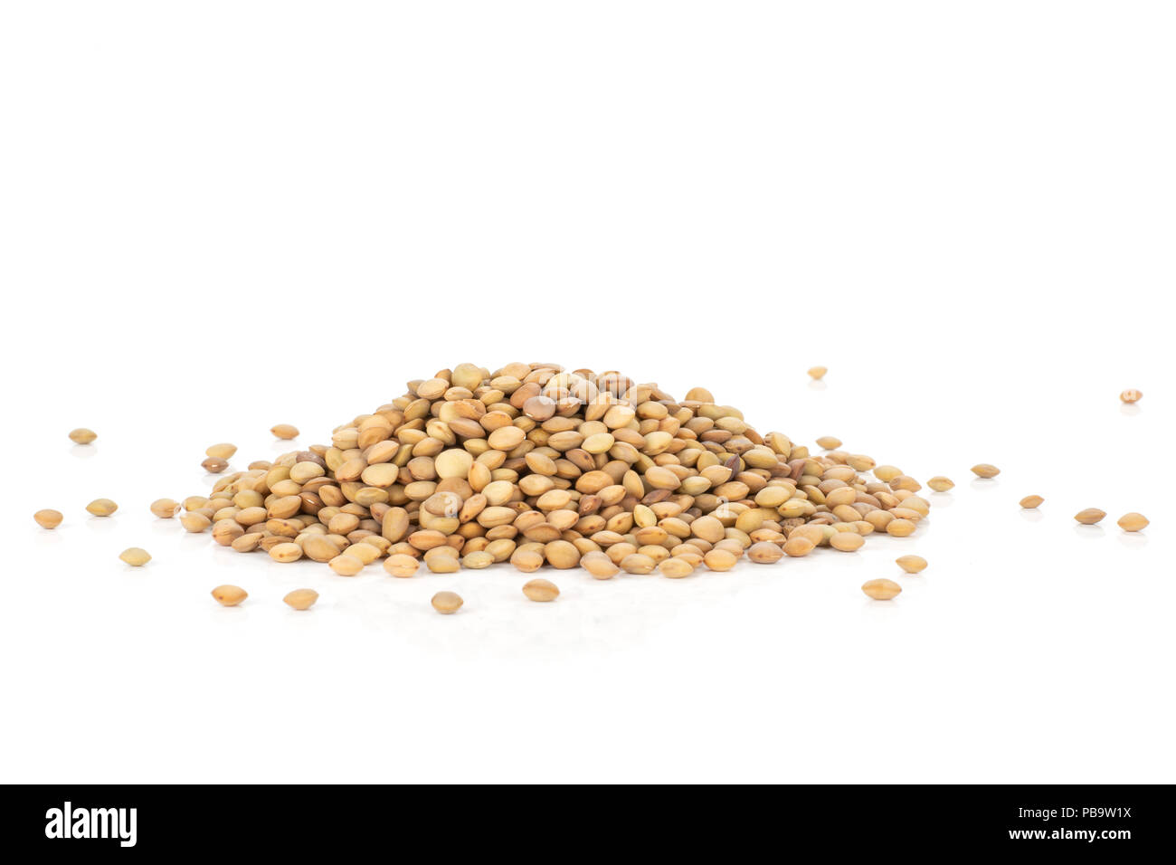 Lot of whole raw green lentil seeds heap isolated on white Stock Photo ...
