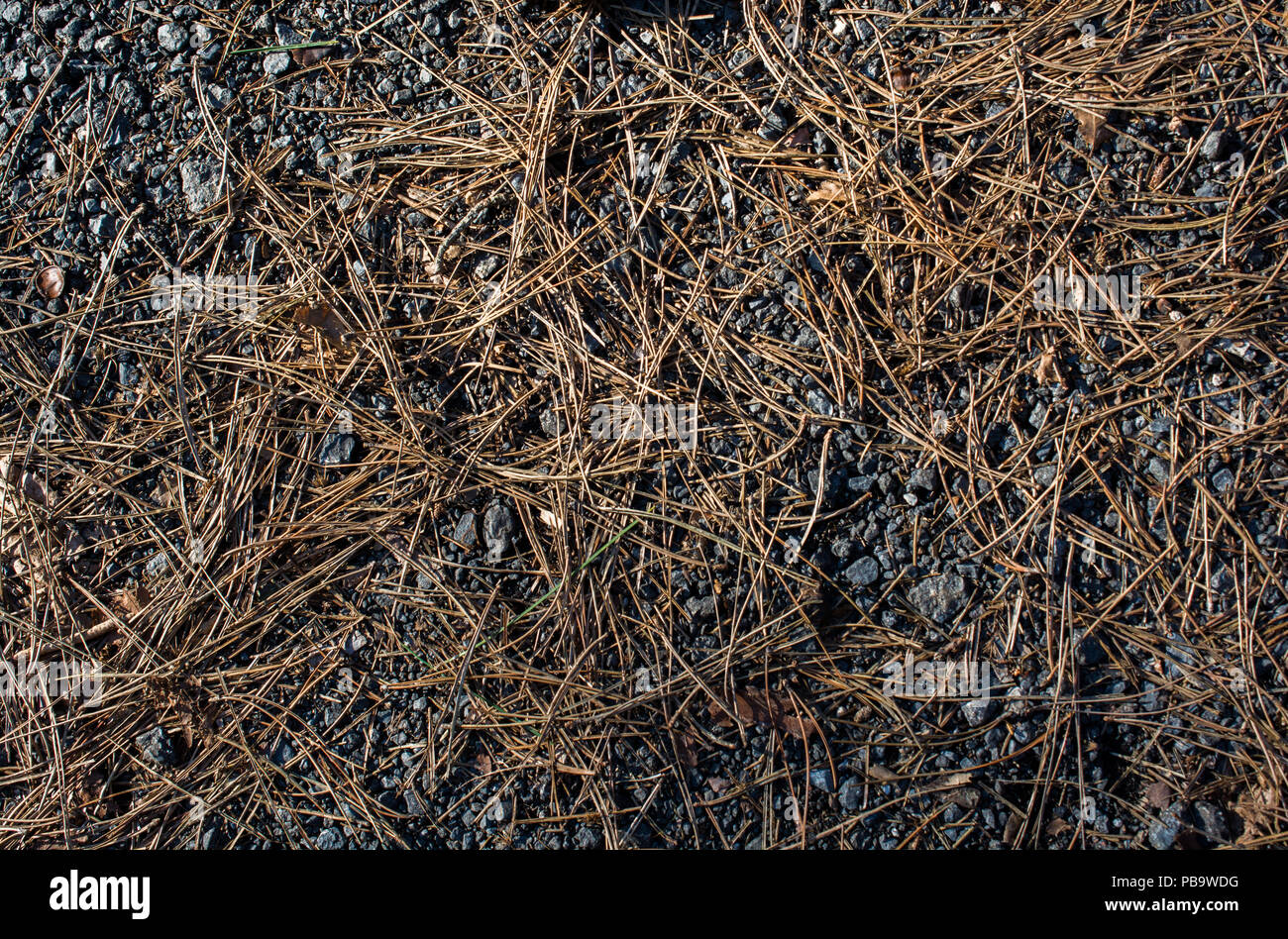 Texture background of autumn season with leaves Stock Photo - Alamy