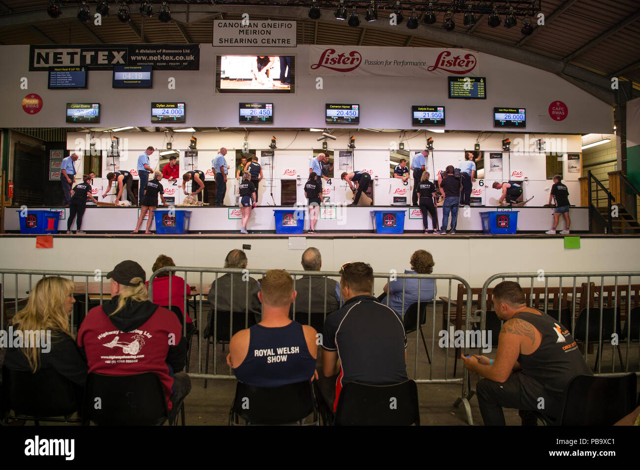 Competitors in the sheep shearing contest at The Royal Welsh Show, the ...