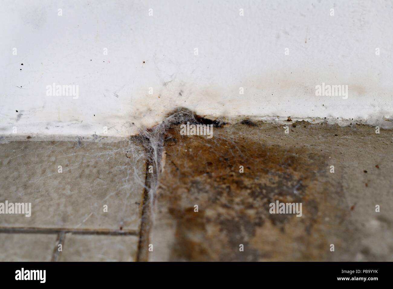 Wter damage in a house, Germany, city of Osterode, 25.June 2018. Photo ...