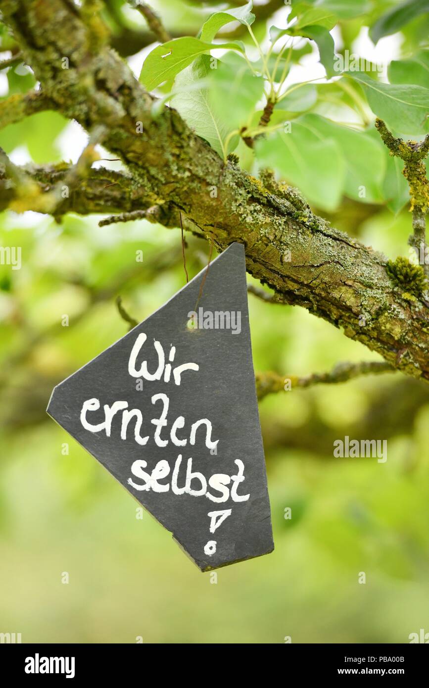 Selbst ernten hi-res stock photography and images - Alamy
