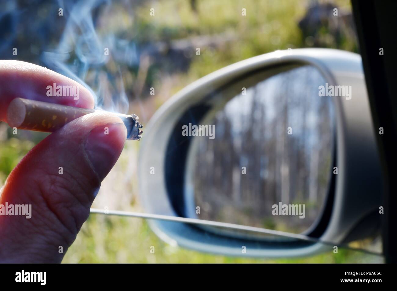 Illustration: danger of forest fire. A man throws a burning cigarette ...