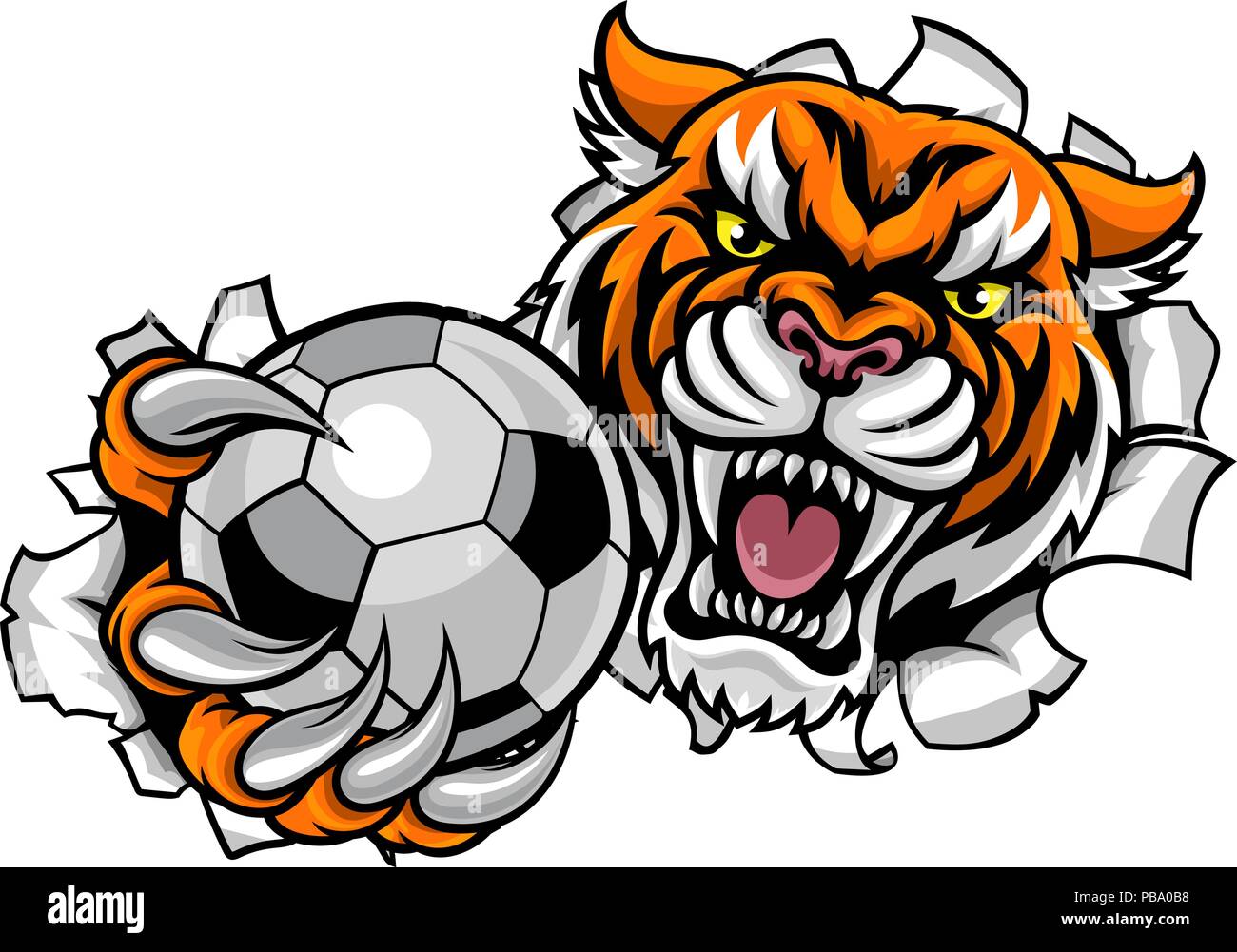 Tiger Holding Soccer Ball Breaking Background Stock Vector Image & Art ...