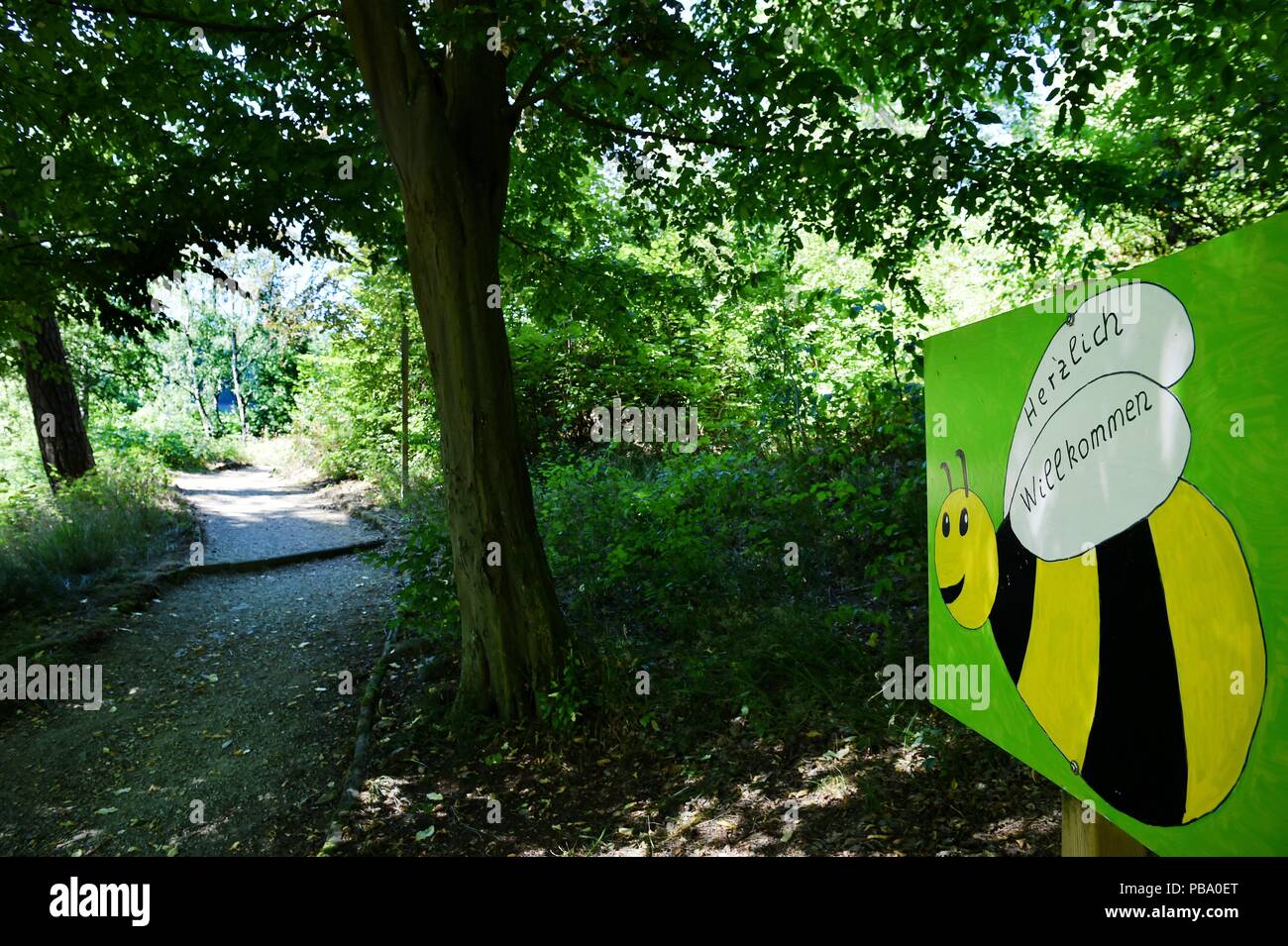 A bee trail where visitors get informations about bees and what they do ...