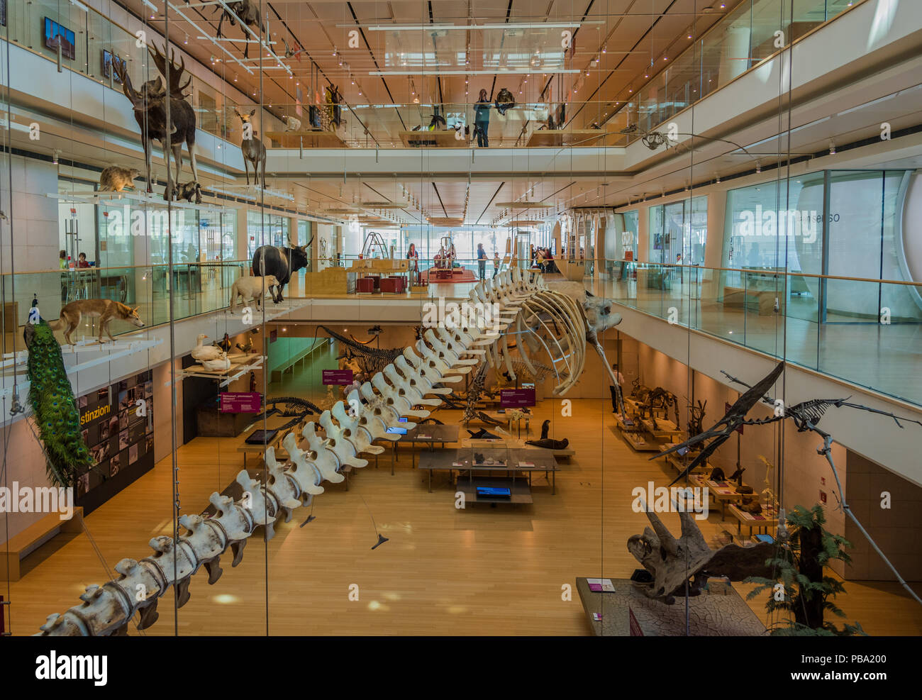 Muse - Science Museum - Trento in northern Italy - interior spaces of ...