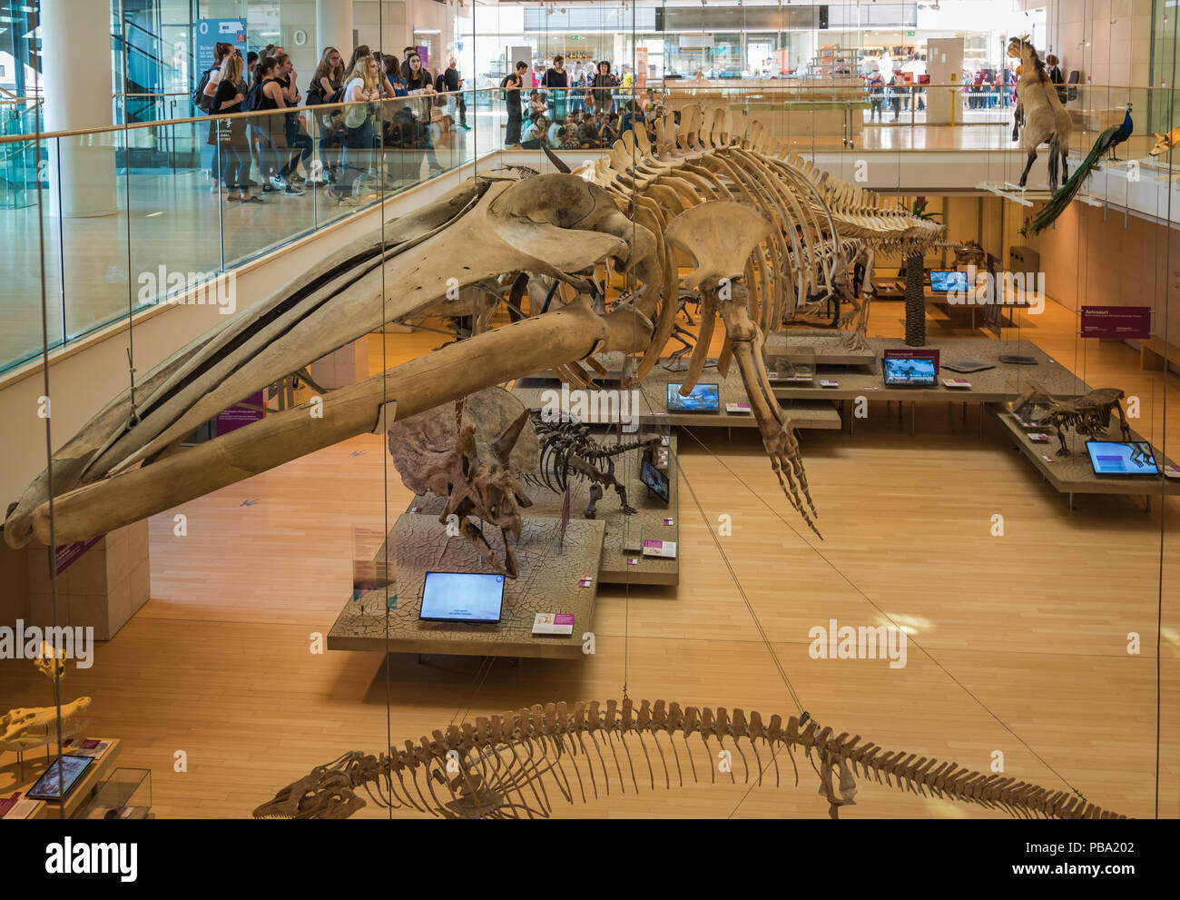 Muse - Science Museum - Trento in northern Italy - interior spaces of ...