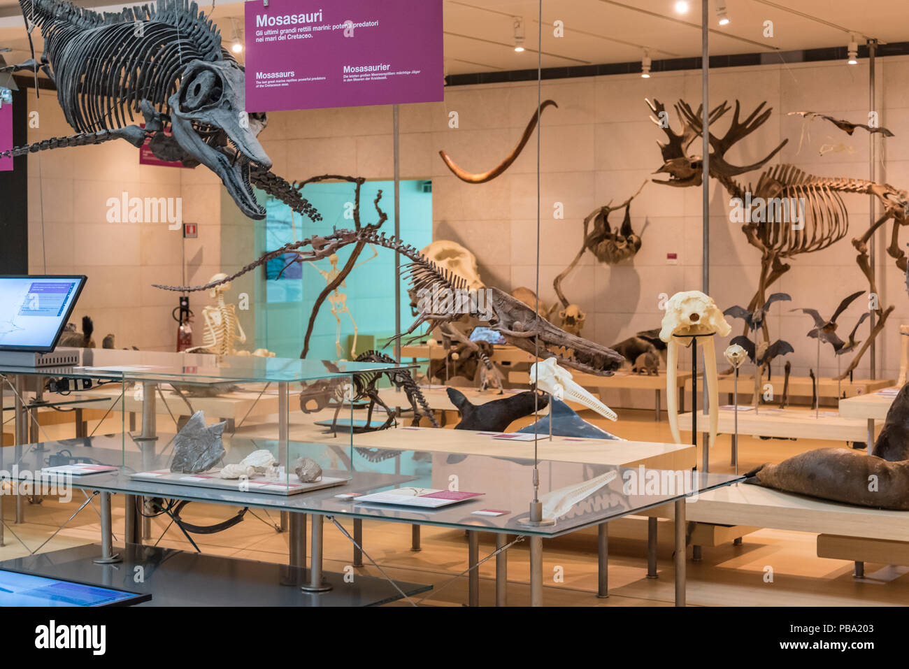 Muse - Science Museum - Trento in northern Italy - interior spaces of ...