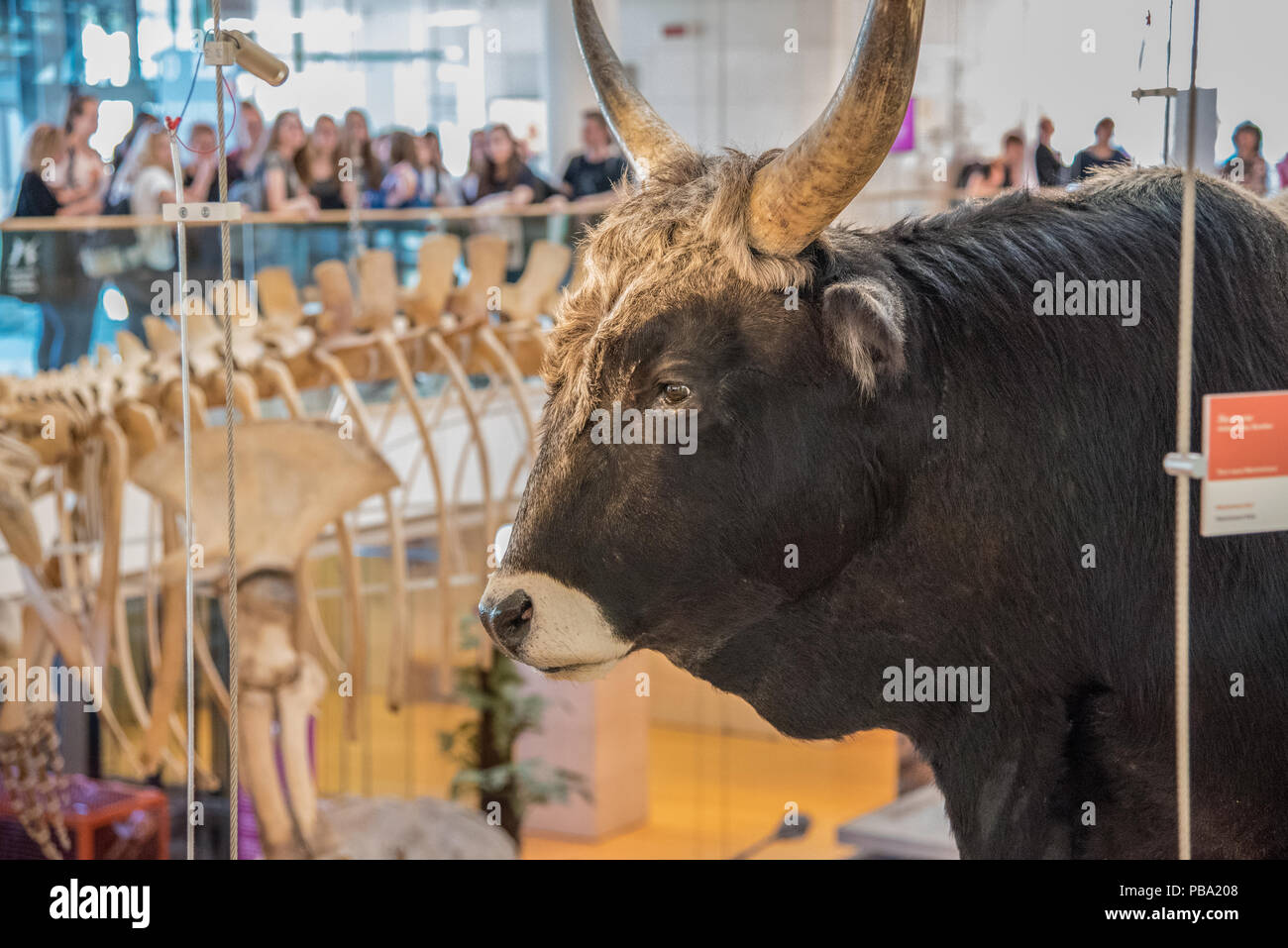 Muse - Science Museum - Trento in northern Italy - interior spaces of ...