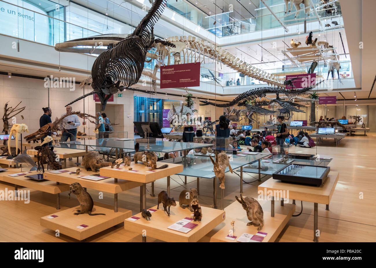 Muse - Science Museum - Trento in northern Italy - interior spaces of ...