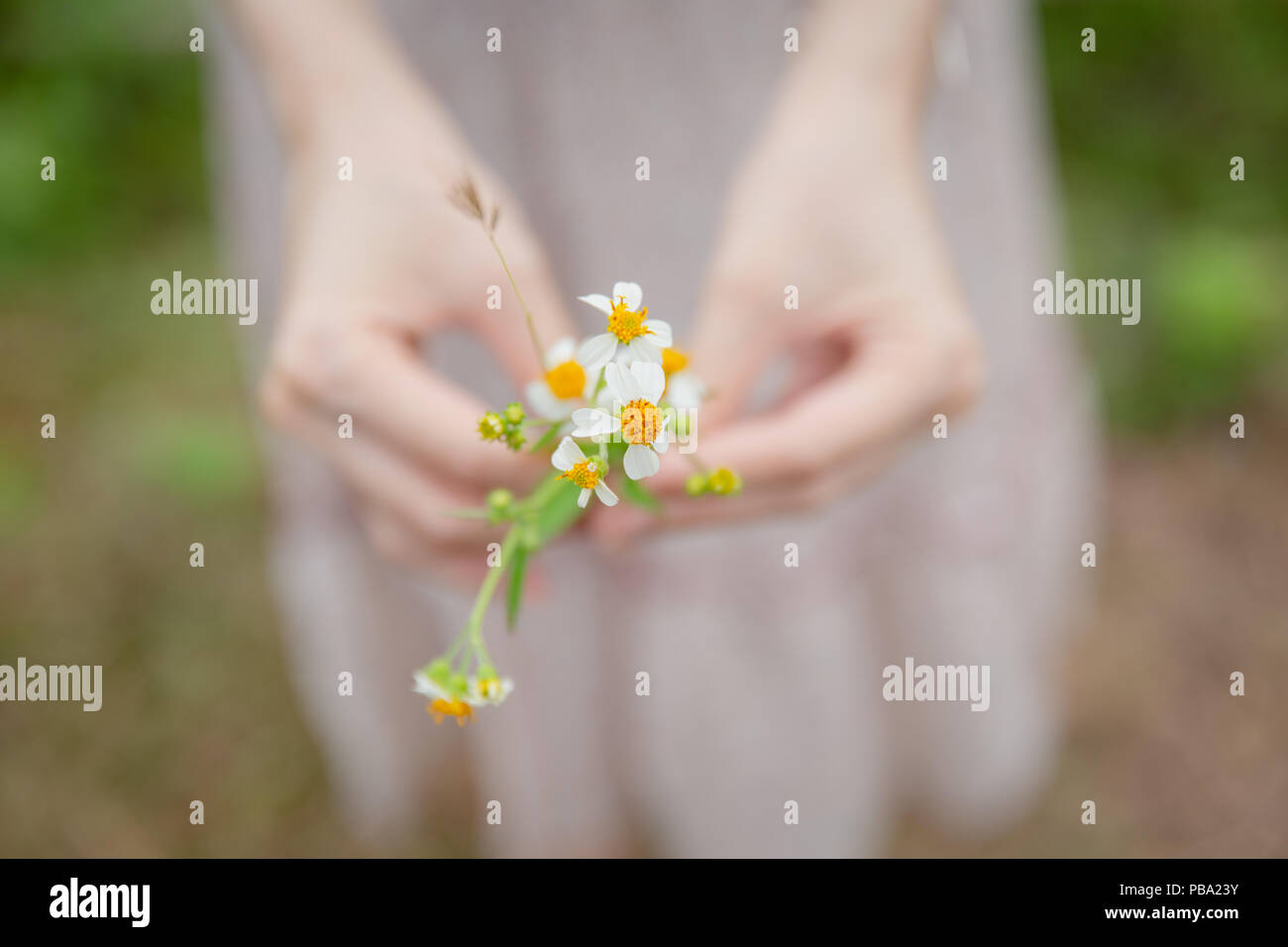 Coat buttons flower hi-res stock photography and images - Alamy