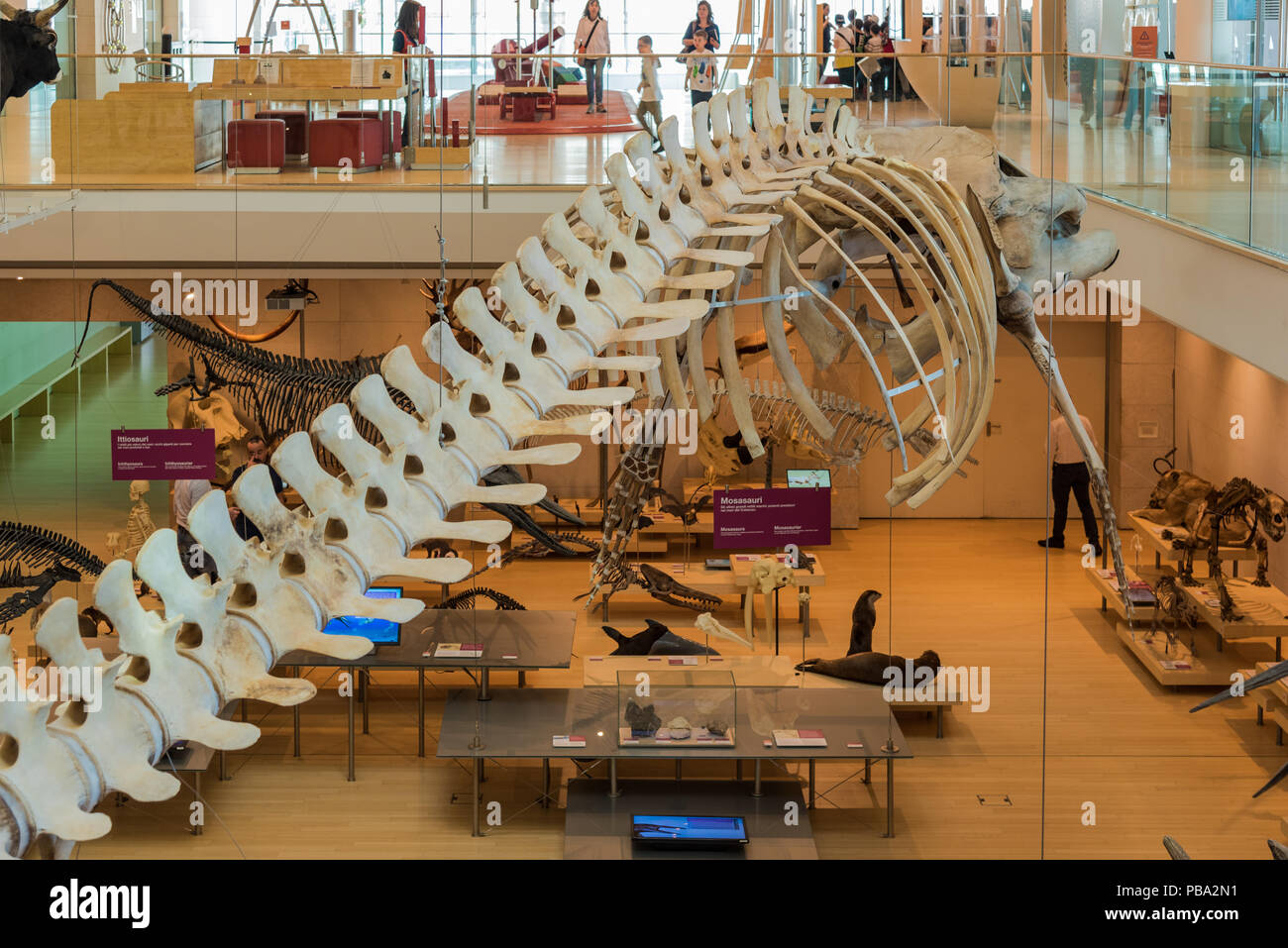 Muse - Science Museum - Trento in northern Italy - interior spaces of ...