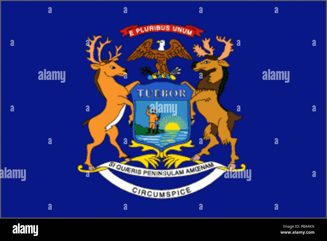 Michigan state flag hi-res stock photography and images - Alamy