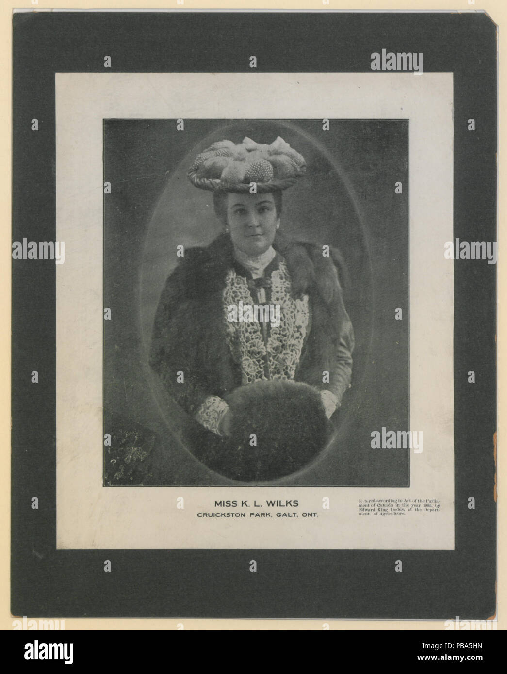 1049 Miss KL Wilks Cruickston Park, Gait, Ontario (HS85-10-16655 Stock ...