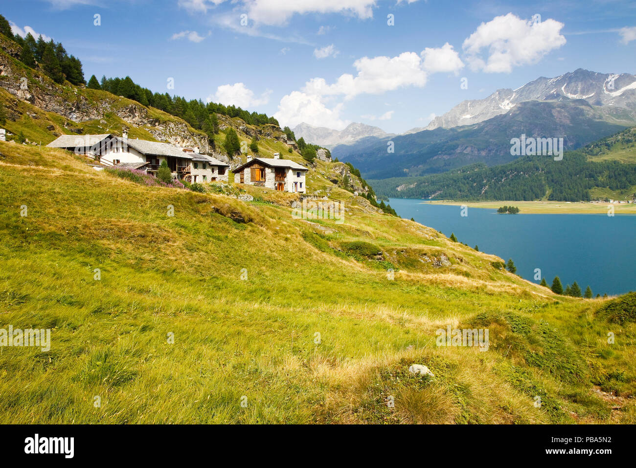 View of sils maria and lake silvaplana hi-res stock photography and ...
