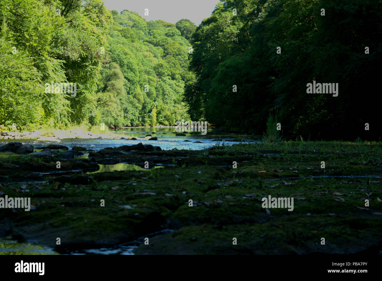Failford High Resolution Stock Photography and Images - Alamy