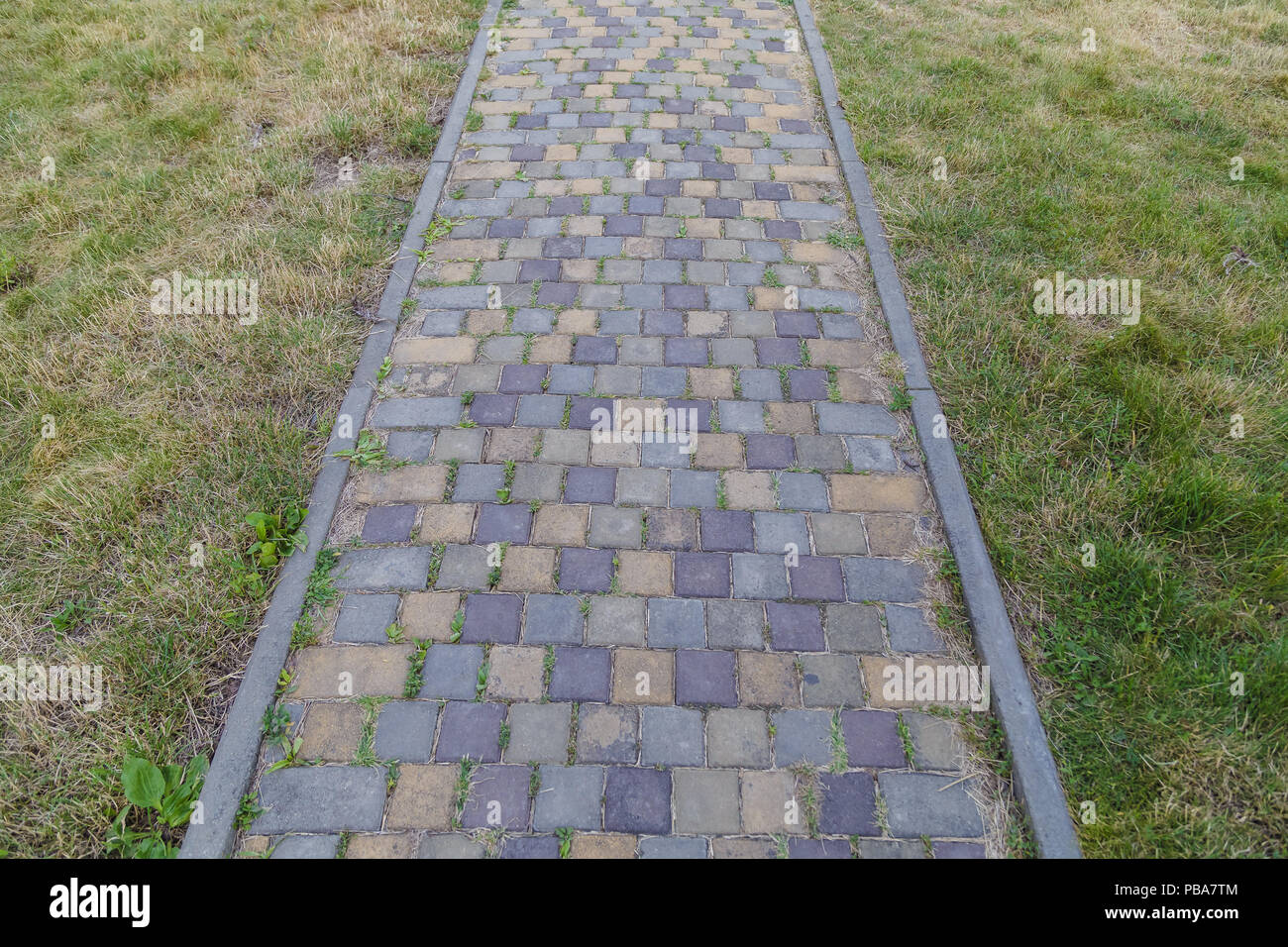 Sidewalk tiles with a new design, an exclusive product Stock Photo - Alamy