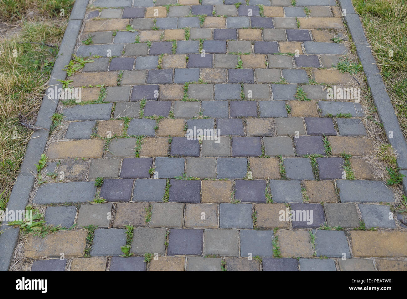 Sidewalk tiles with a new design, an exclusive product Stock Photo - Alamy
