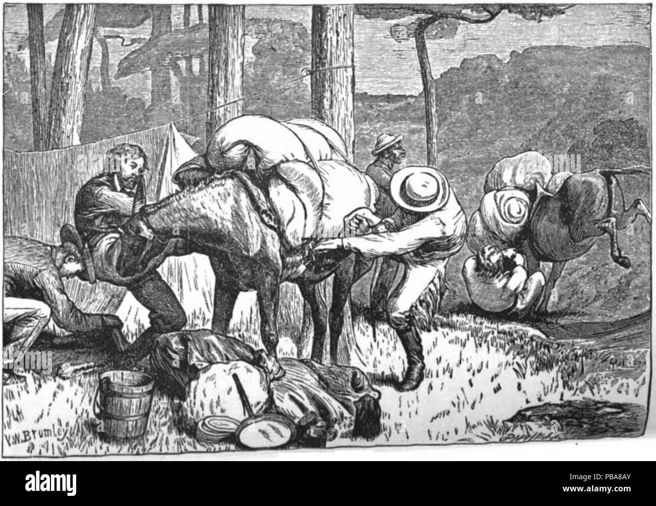 Mule packing hi-res stock photography and images - Alamy