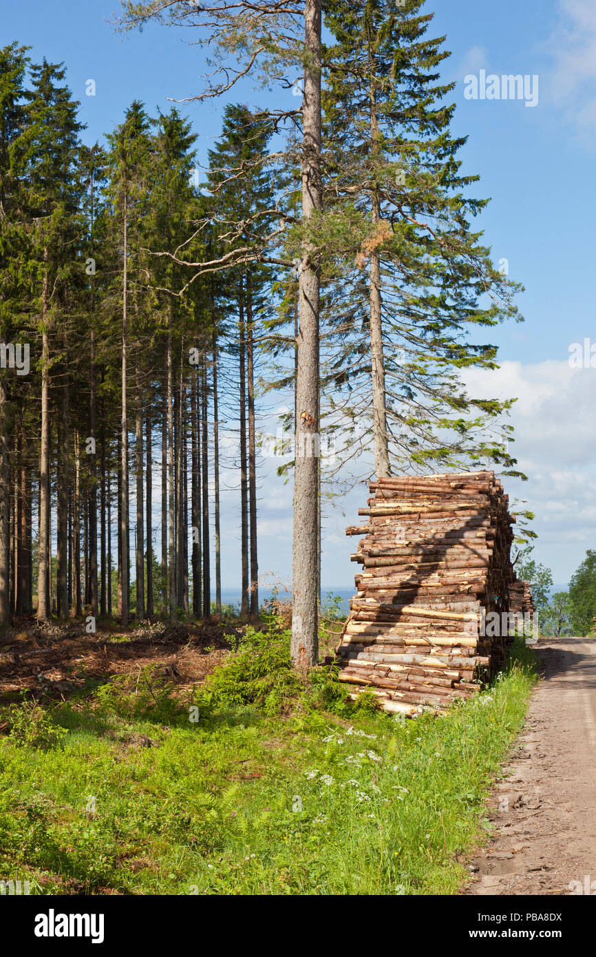Roadside log piles hi-res stock photography and images - Alamy