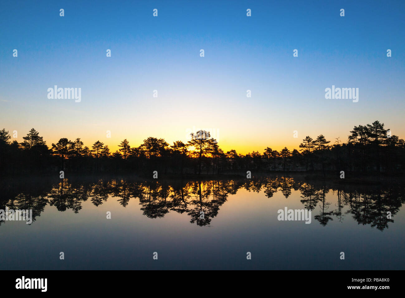 Dawn water landscape landscape lake people light trees hi-res stock ...