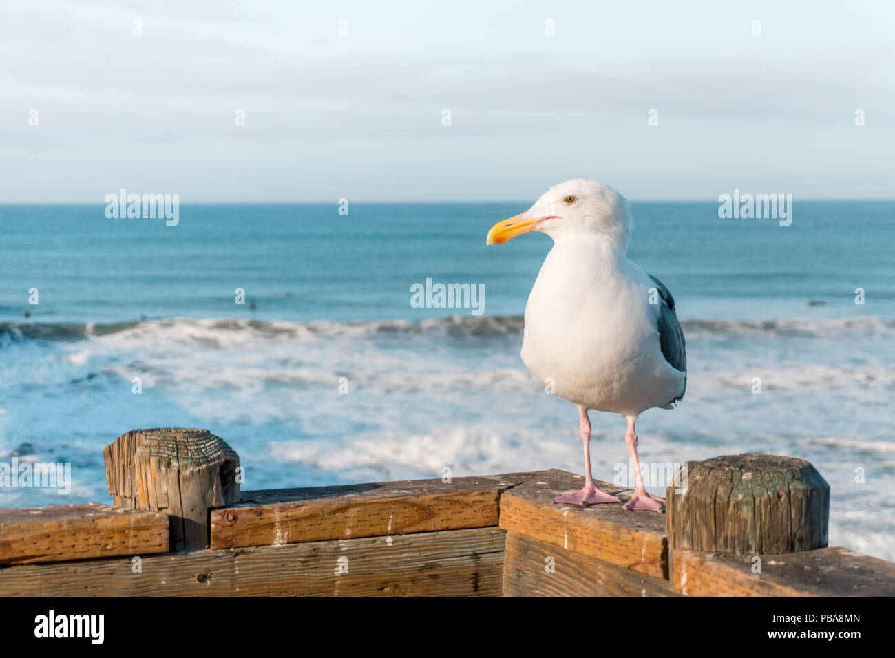 Oceanside California Beach High Resolution Stock Photography and Images ...