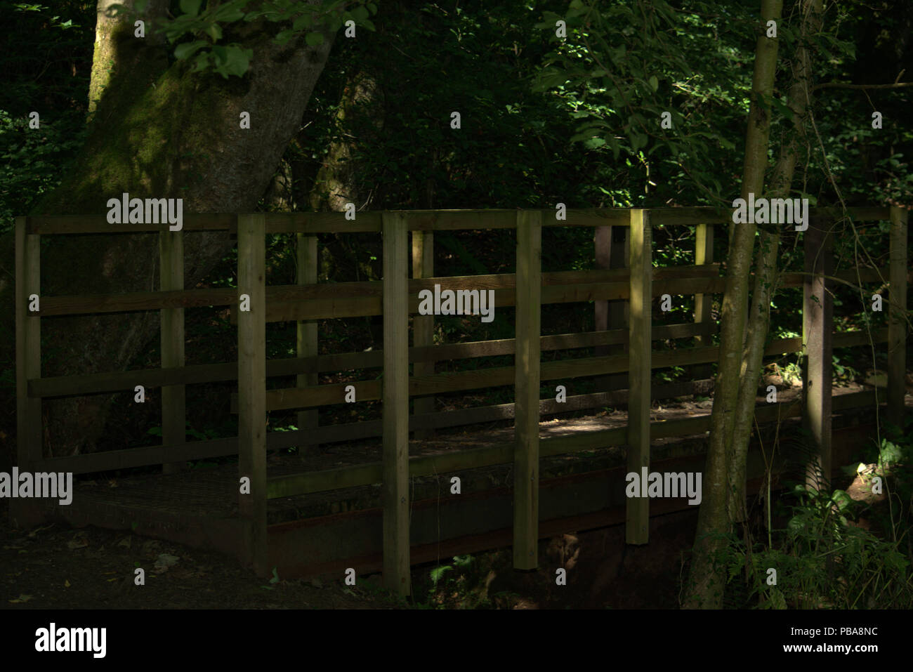 Wooden bridge in a forest Stock Photo - Alamy