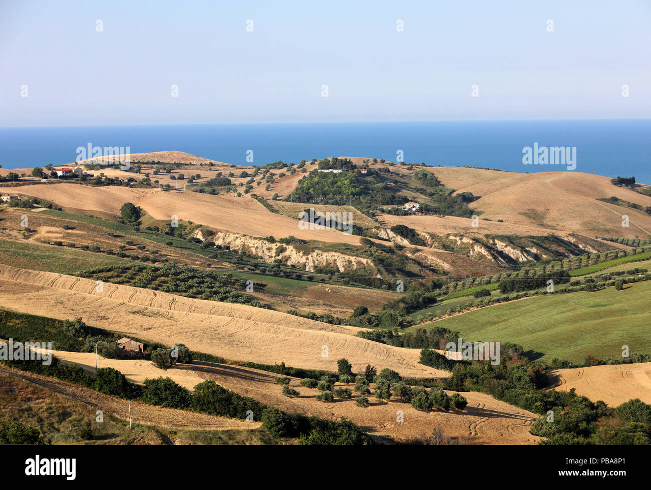 Panoramic view of olive groves and farms on rolling hills of Abruzzo ...