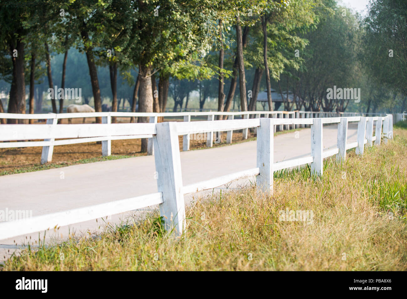 Bridle road hi-res stock photography and images - Alamy