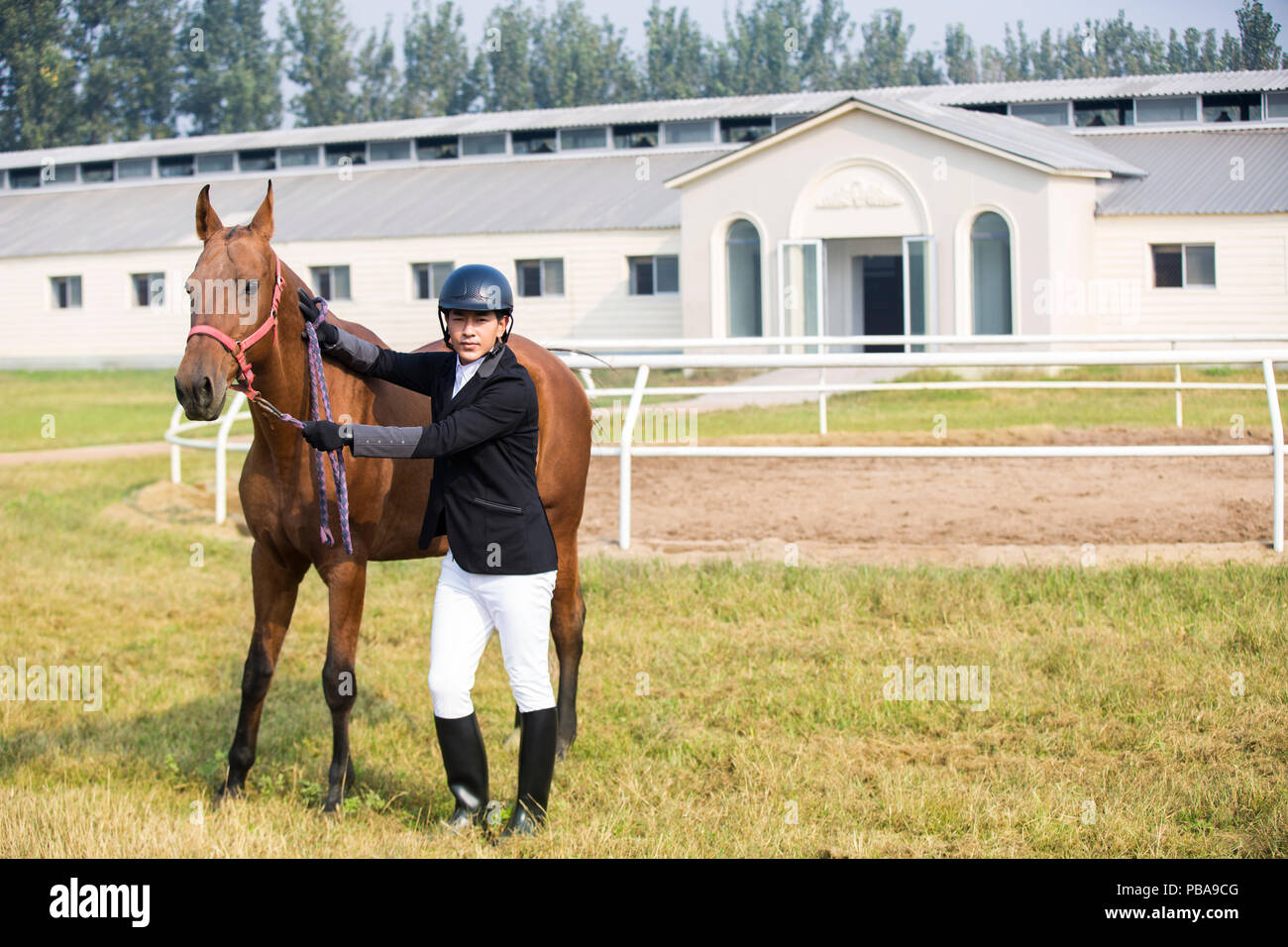 Chinese male rider with his horse Stock Photo - Alamy