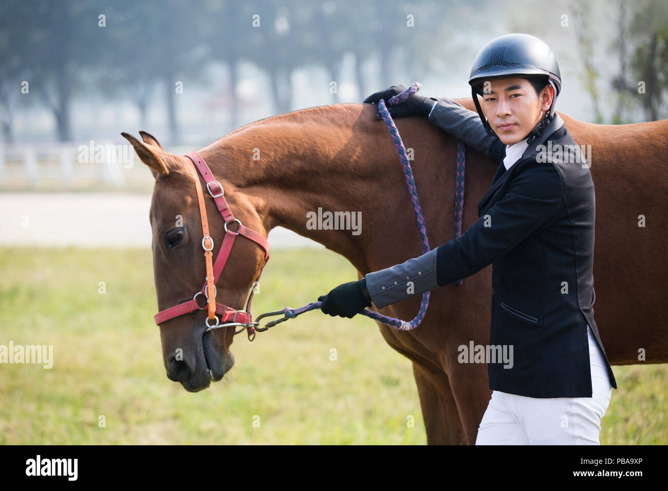 Chinese horse and rider hi-res stock photography and images - Alamy