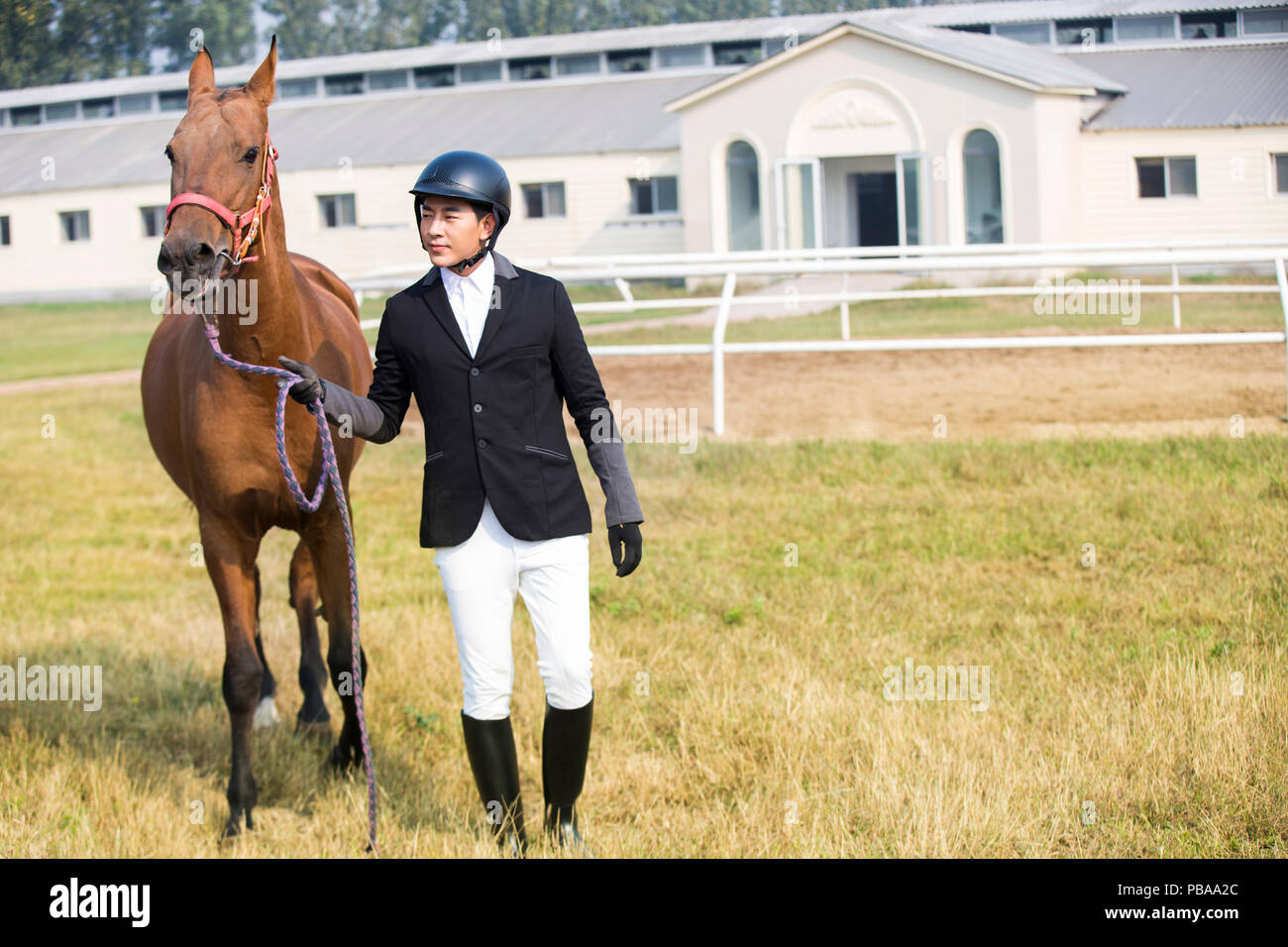 Chinese male rider walking on grassy field with horse Stock Photo - Alamy