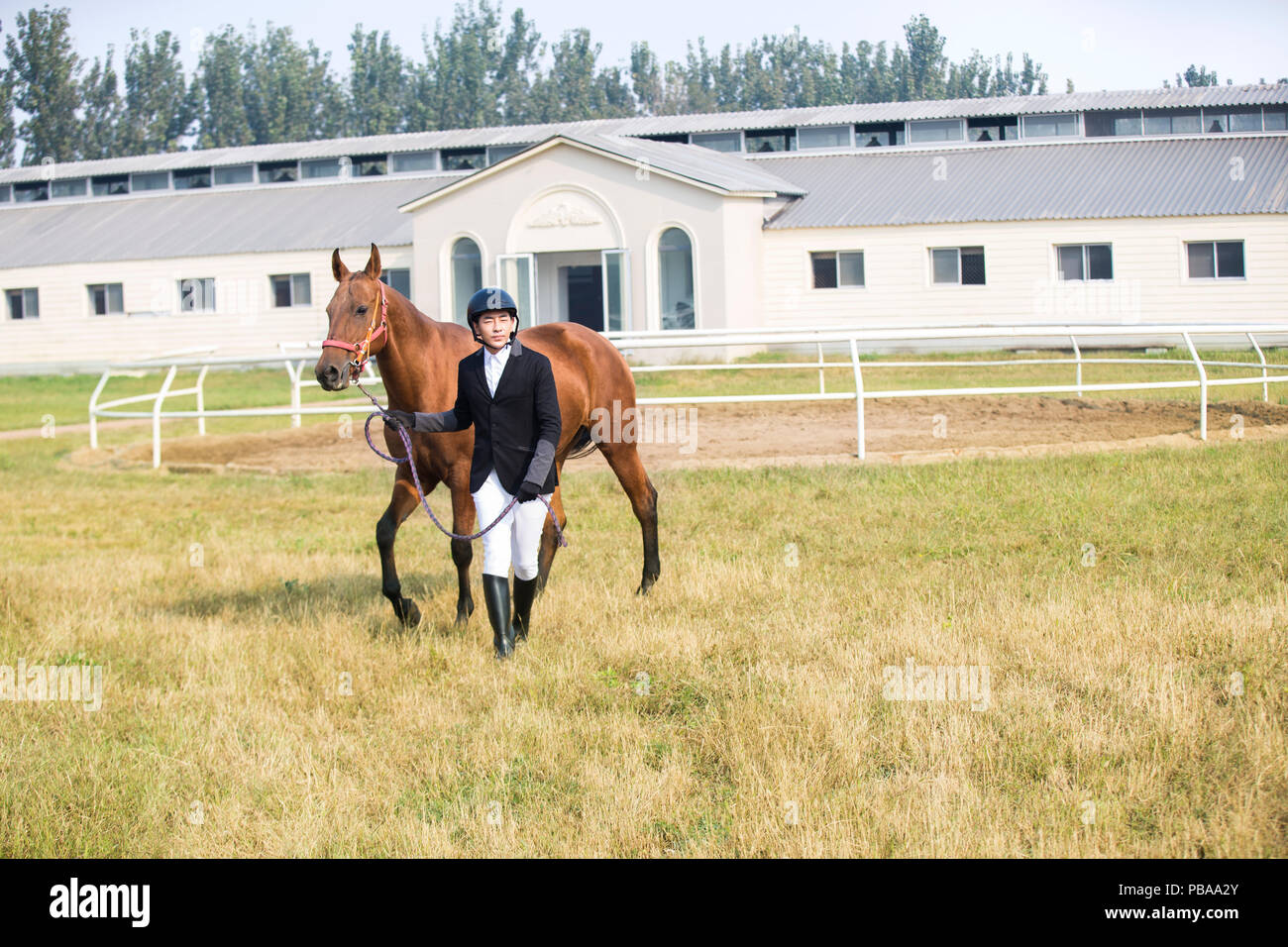 Dressage equestrian event walking horse hi-res stock photography and ...