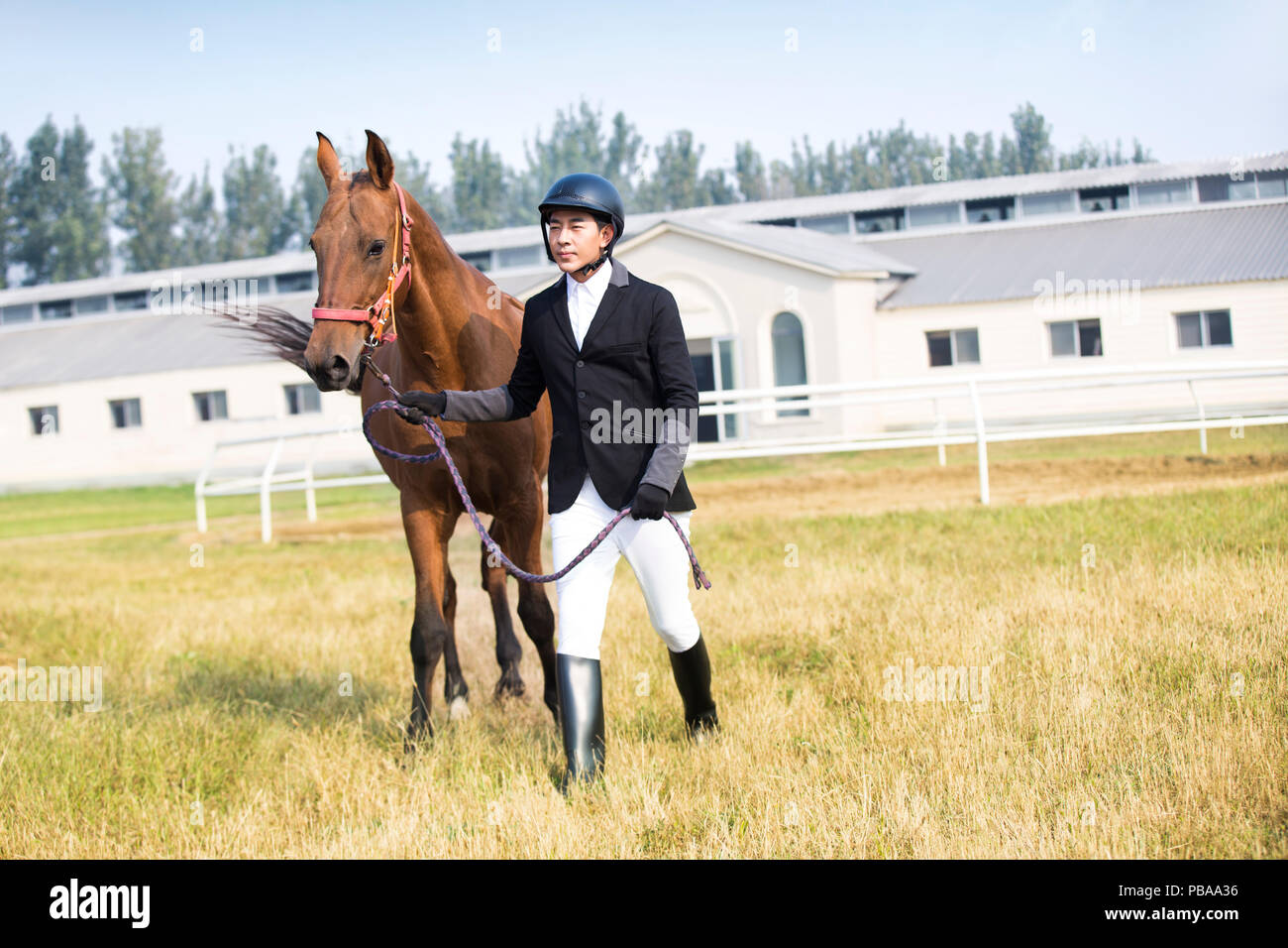 Chinese male rider walking on grassy field with horse Stock Photo - Alamy