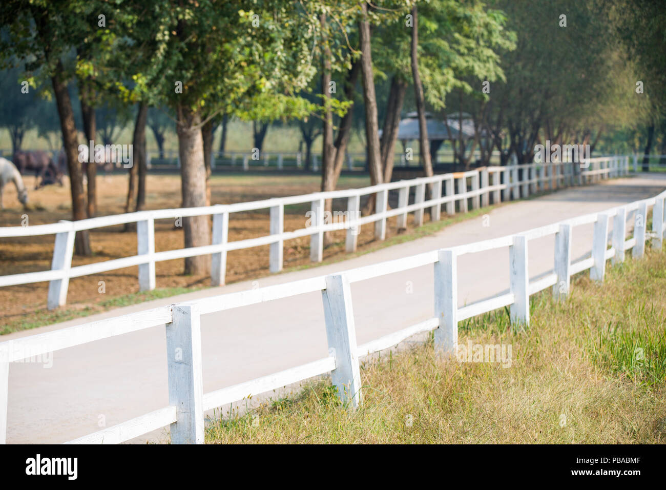 Bridle road hi-res stock photography and images - Alamy