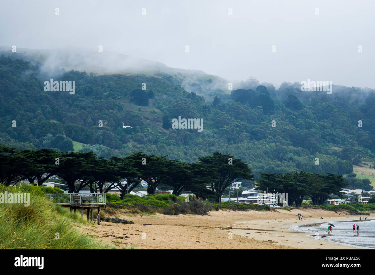 Apollo bay foreshore hi-res stock photography and images - Alamy