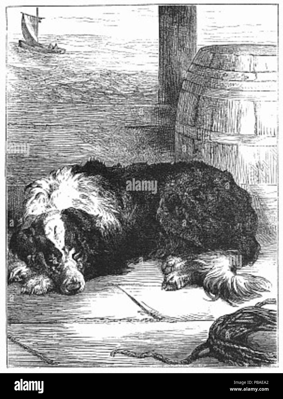 Regional drawing Black and White Stock Photos & Images - Alamy