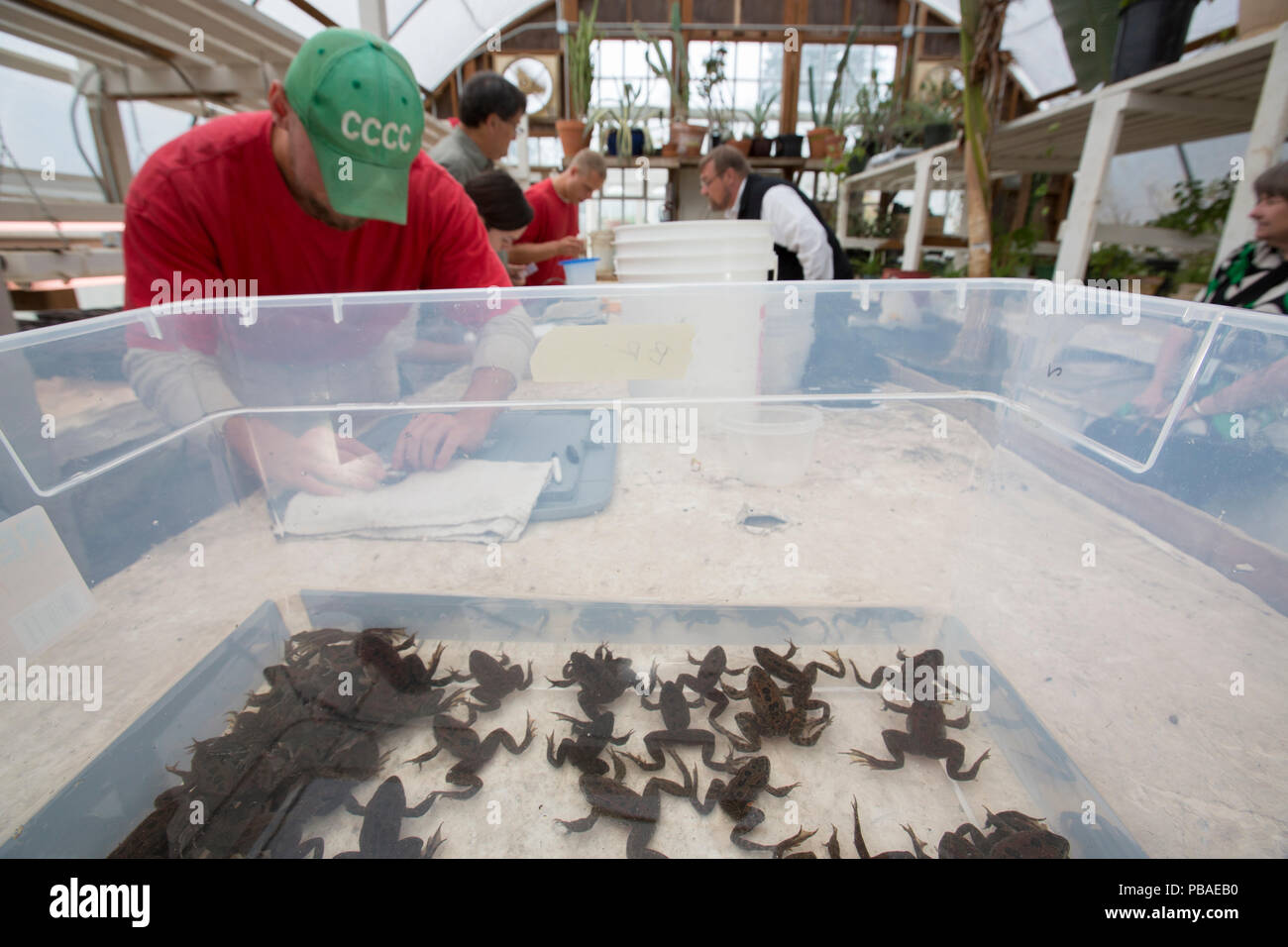 Inmates of the Cedar Creek Corrections Center and biologists taking ...
