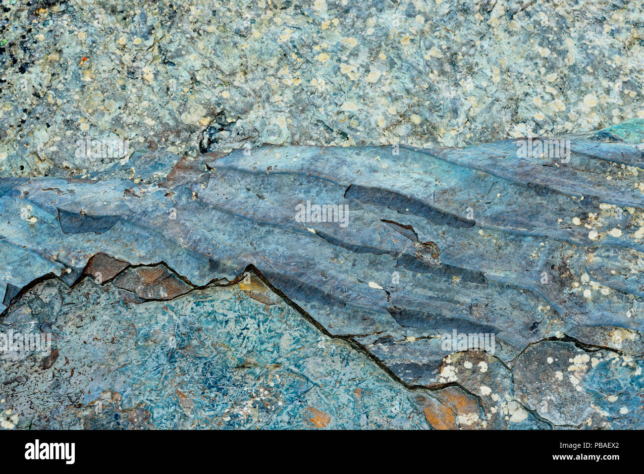 Fossil beach rocks in the moraine at Moraine Lake, Banff National Park ...