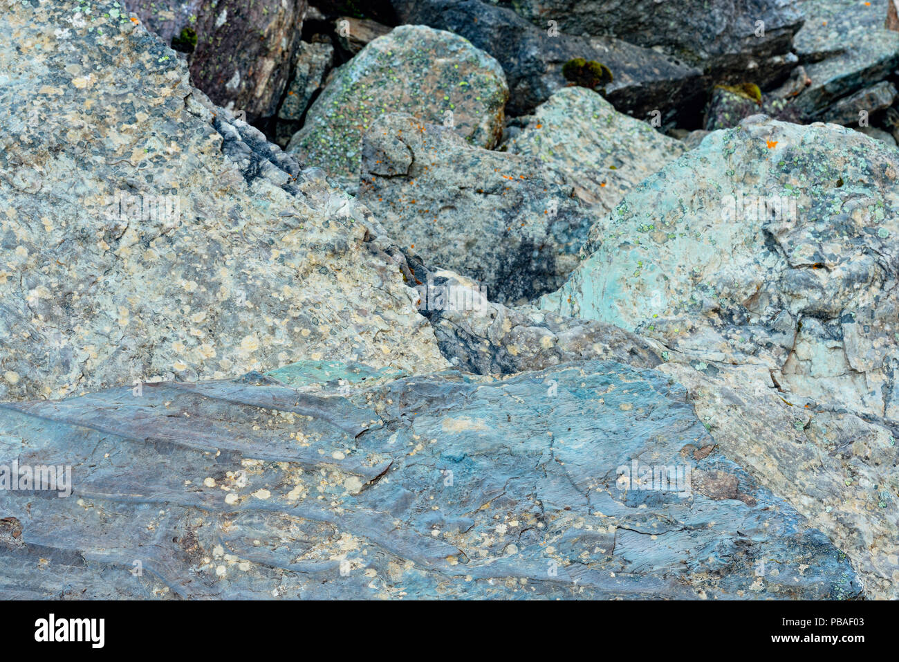 Fossil beach rocks in the moraine at Moraine Lake, Banff National Park ...