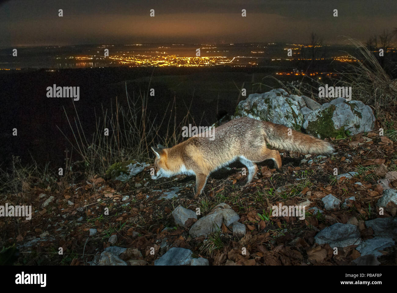 Image with mountains hi-res stock photography and images - Alamy