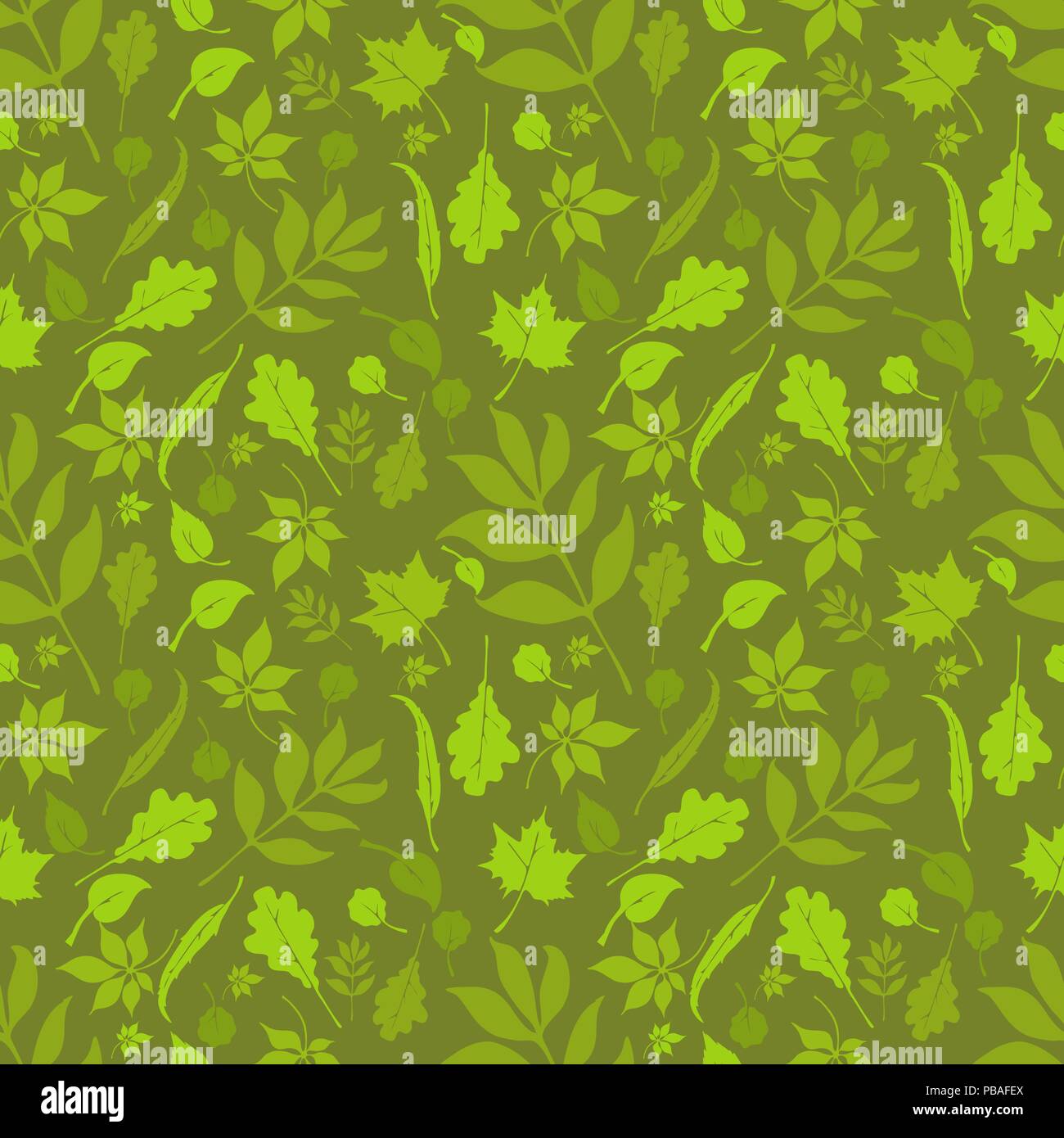 European oak tree Stock Vector Images - Alamy