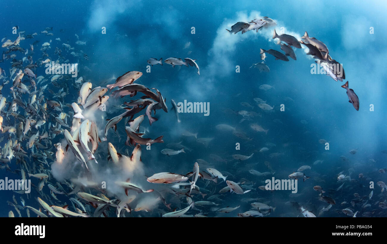 Caroline islands hi-res stock photography and images - Alamy