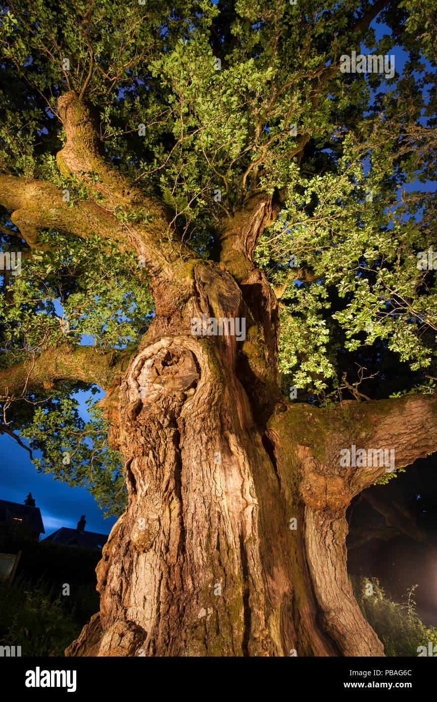 Birnam hi-res stock photography and images - Alamy