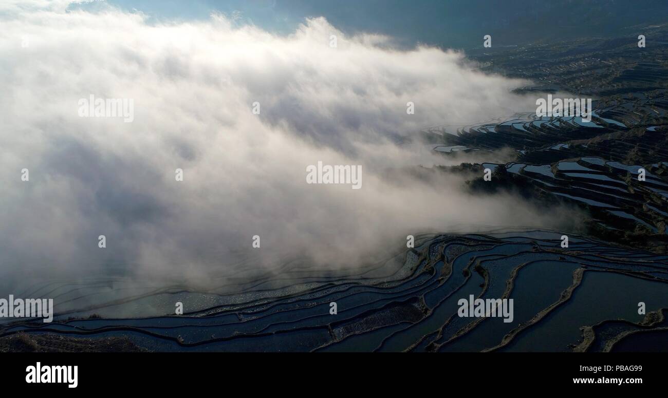 Mountains above the rice fields hi-res stock photography and images - Alamy