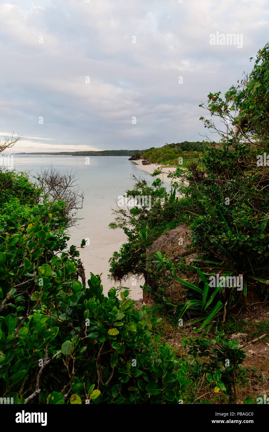 Incoming tide at dawn at a rocky inlet Stock Photo - Alamy